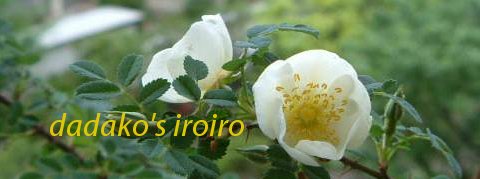 dadako's iroiro: ポジャギ